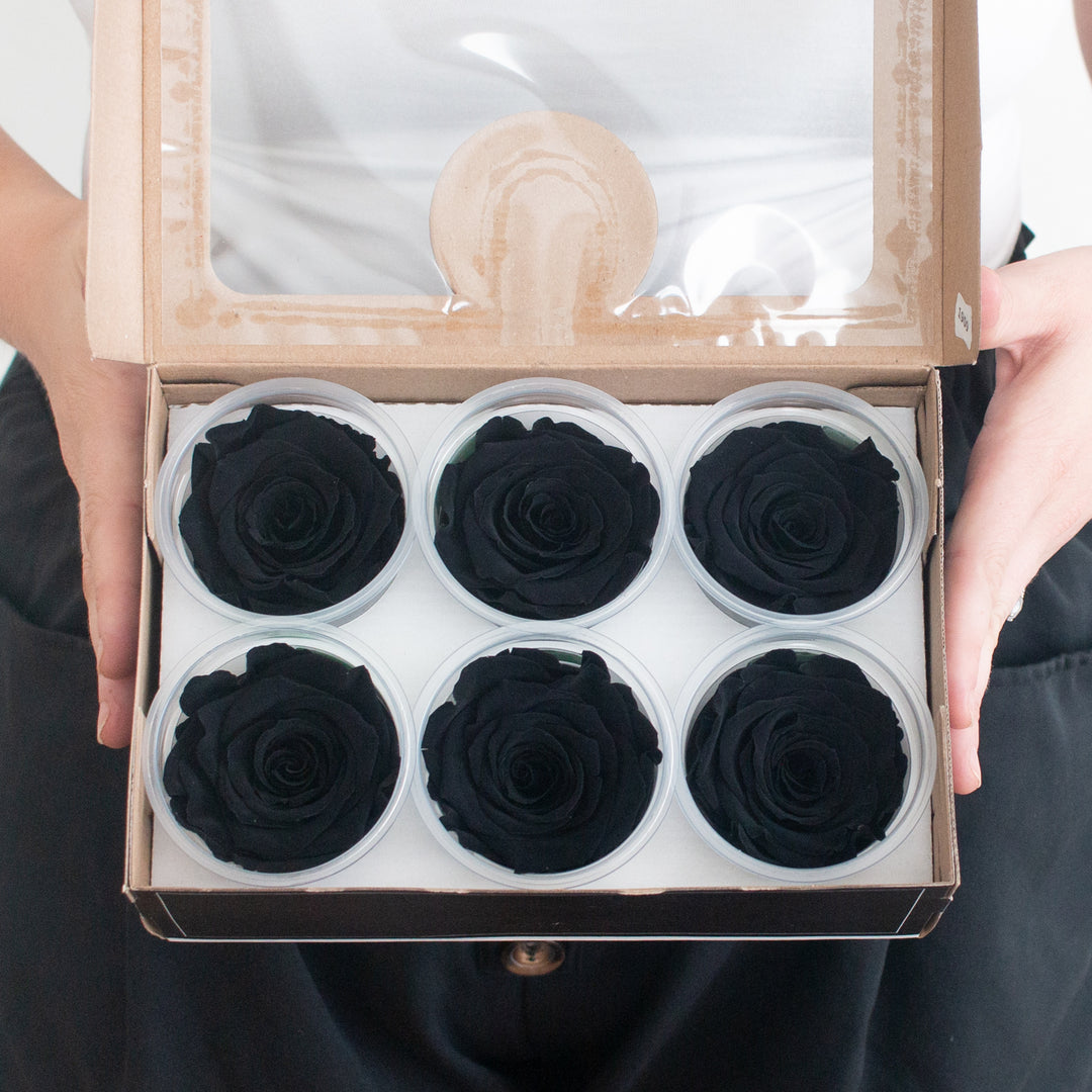Preserved Roses in Black | Flower Moxie | DIY Wedding – Flower Moxie Supply