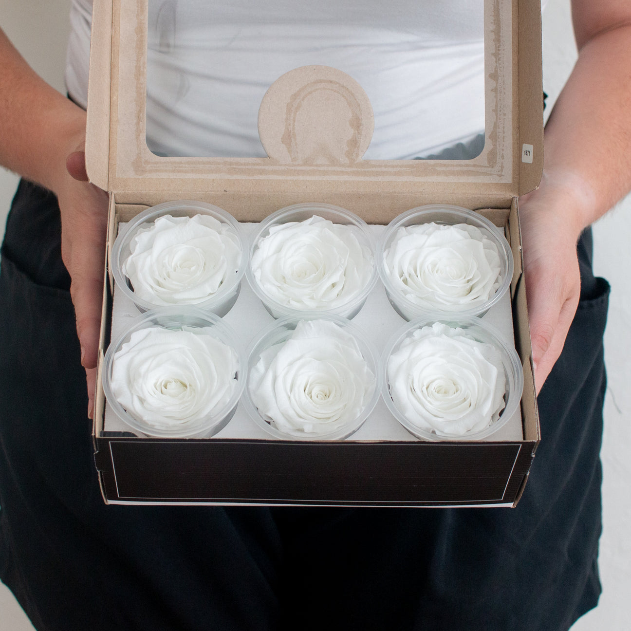 Preserved Roses in True White | Flower Moxie | DIY Wedding – Flower ...