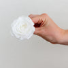 Preserved Roses in True White | Flower Moxie | DIY Wedding – Flower ...