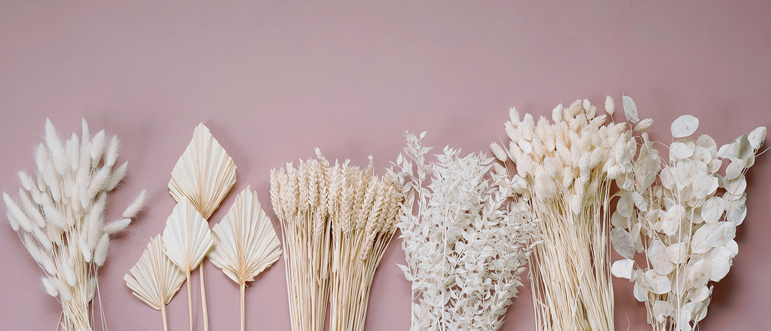 DIY Wedding Floral Supplies, Dried Flowers, Cheap Vases | Flower Moxie – Flower Moxie Supply