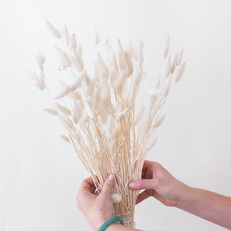 Bleached White Bunny Tail Grass Dried | Flower Moxie | DIY Wedding ...