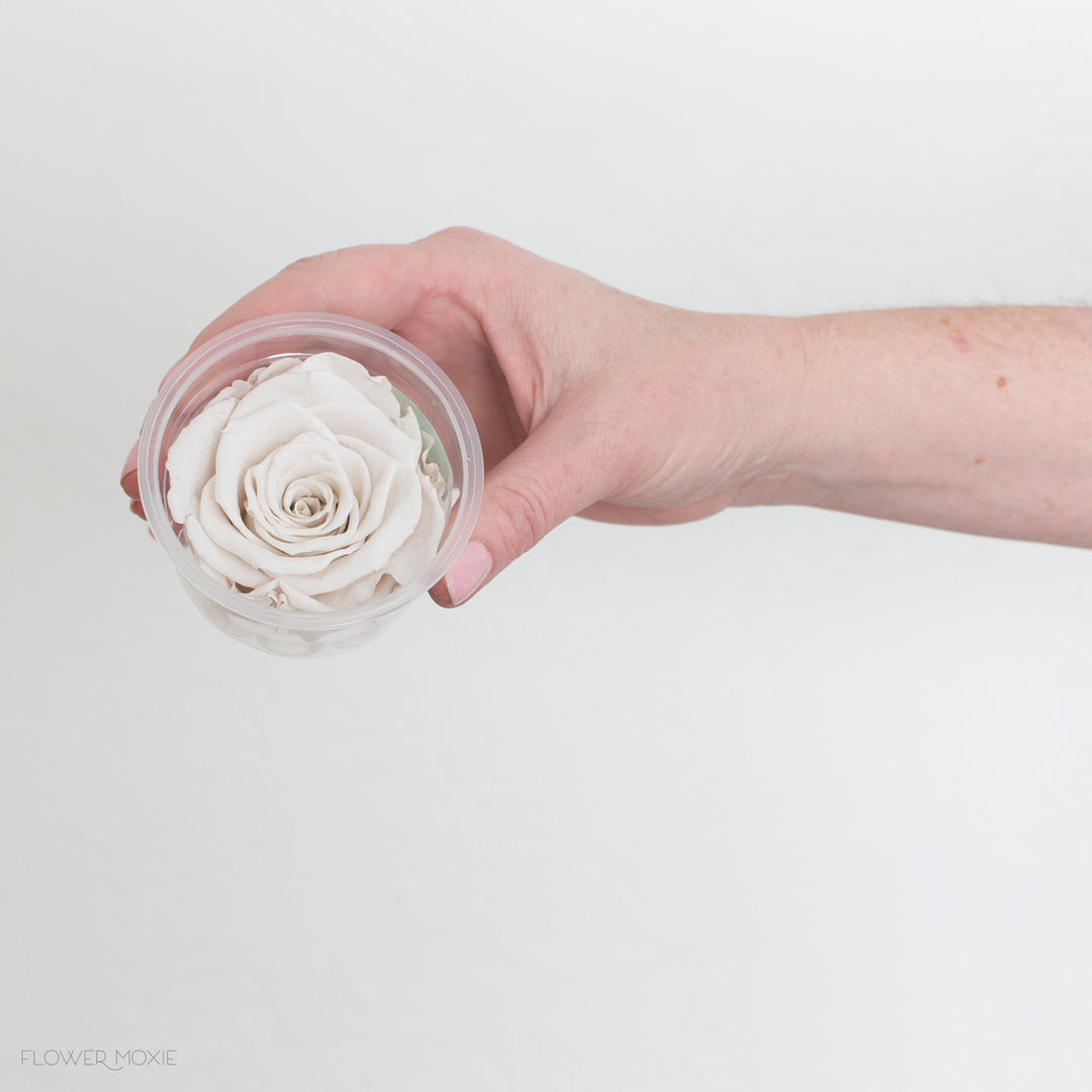 Ivory Preserved Roses | Flower Moxie | DIY Wedding – Flower Moxie Supply