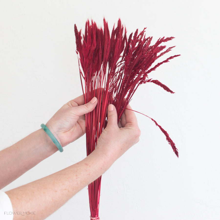 Dried Deep Red Andes Grass – Flower Moxie Supply