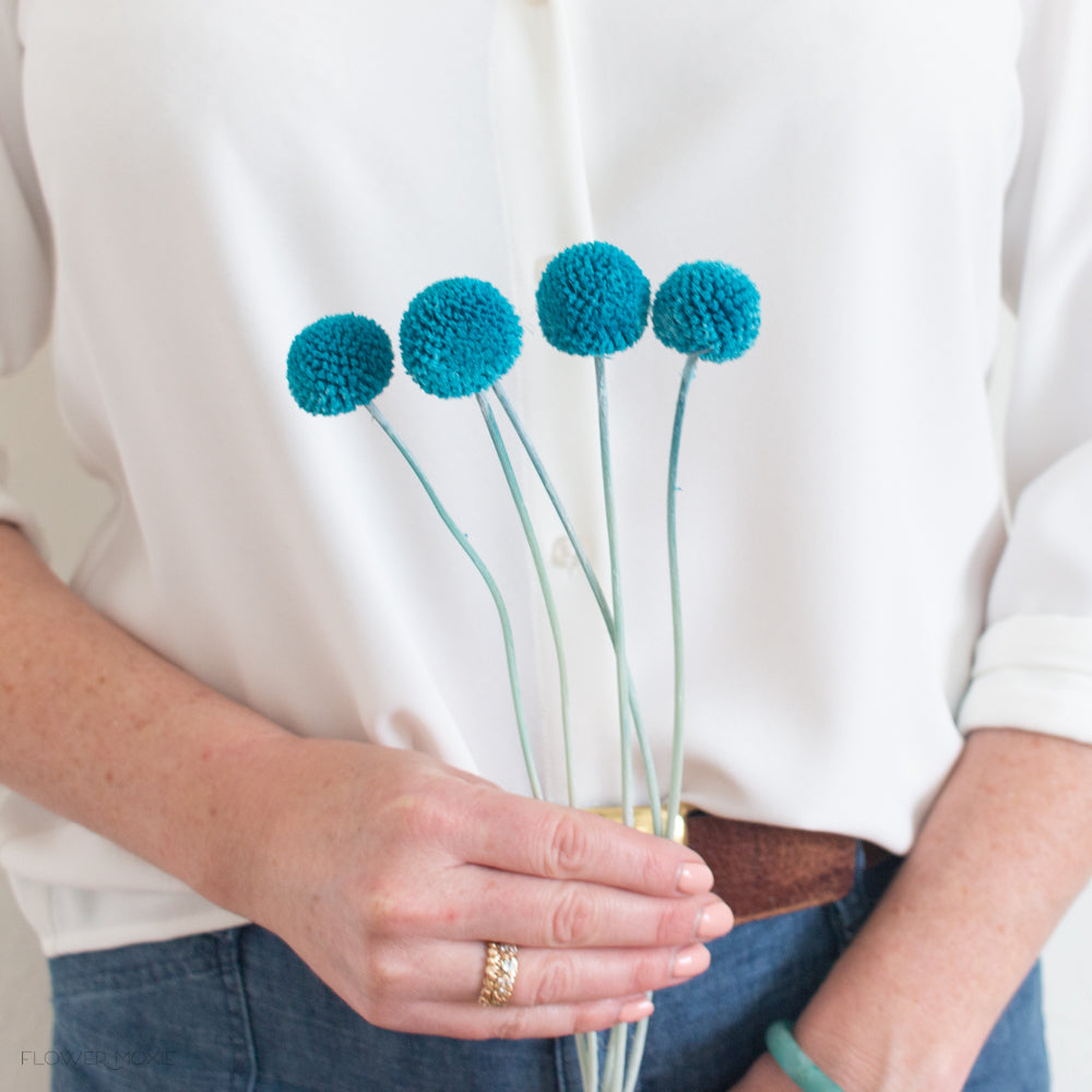 Dried Blue Billy Buttons Craspedia – Flower Moxie Supply