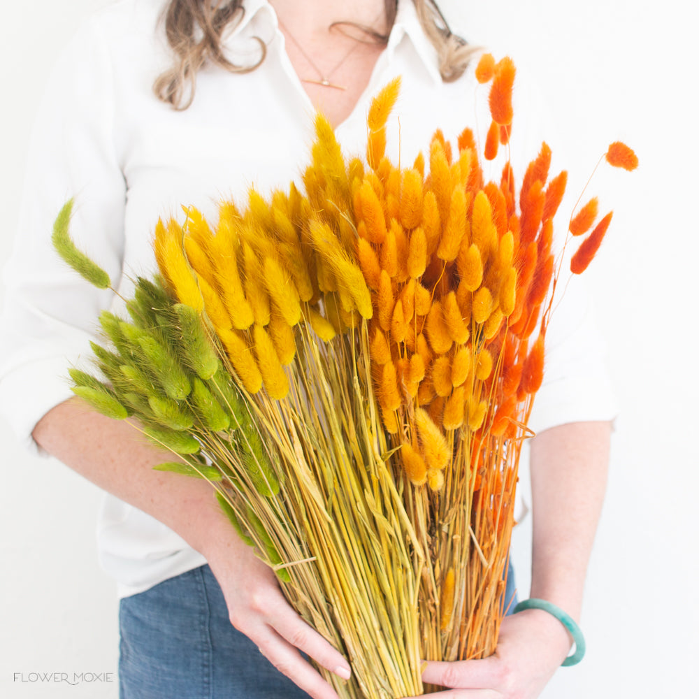Warm Yellow Dried Bunny Tail Grass Flower Moxie Supply