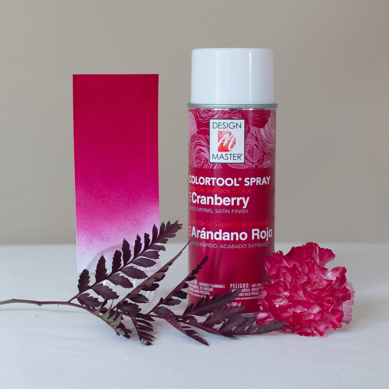 Cranberry Design Master Floral Spray Paint | Flower Moxie | DIY Wedding ...