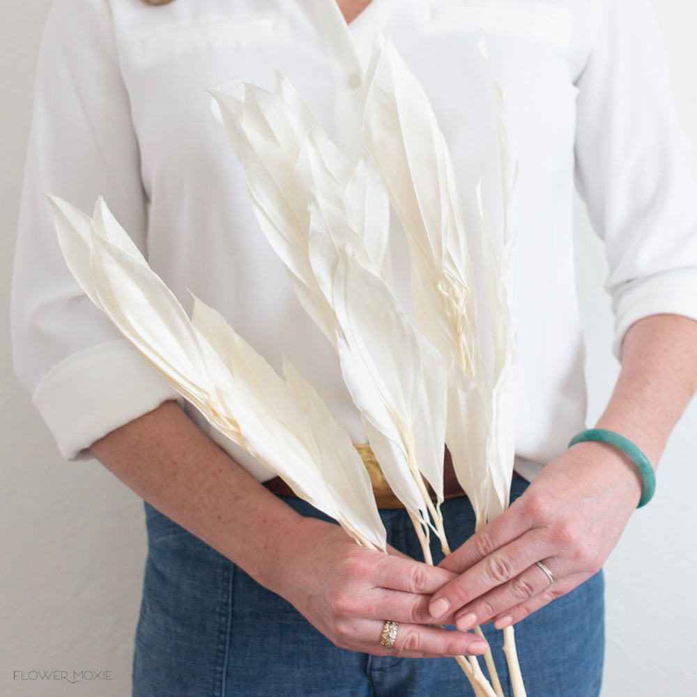 Bleached Cocculus White Greenery | DIY Flower Supply – Flower Moxie Supply