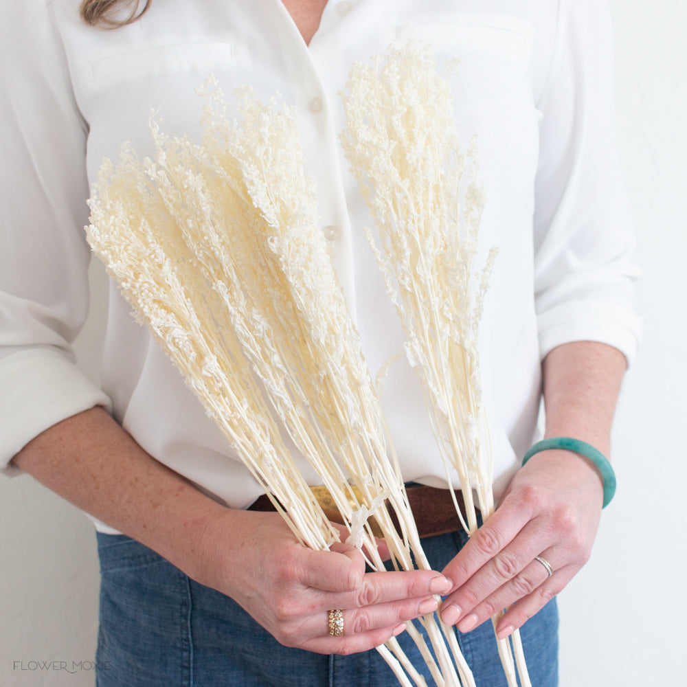 Dried Cream Solidago Goldenrod | DIY Flower Supply – Flower Moxie Supply